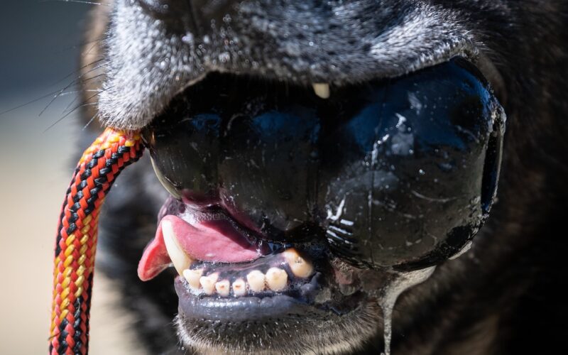 Homepage [travistailwind.com]